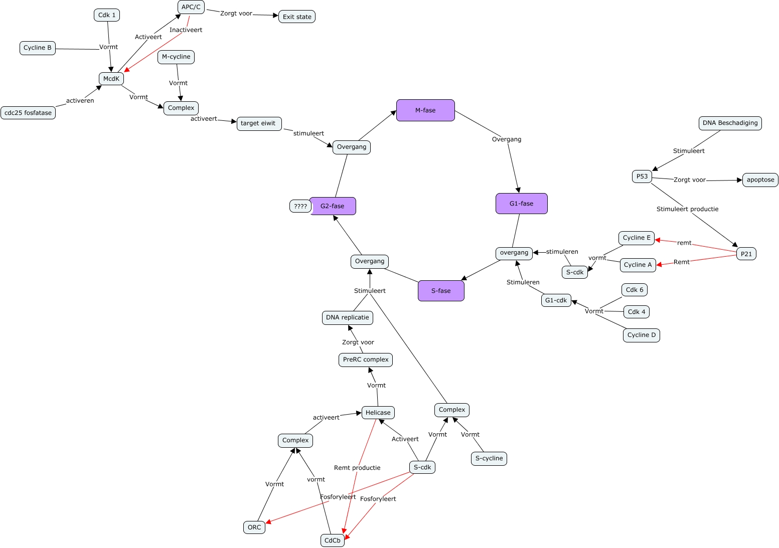 1A Celcyclus Pathway